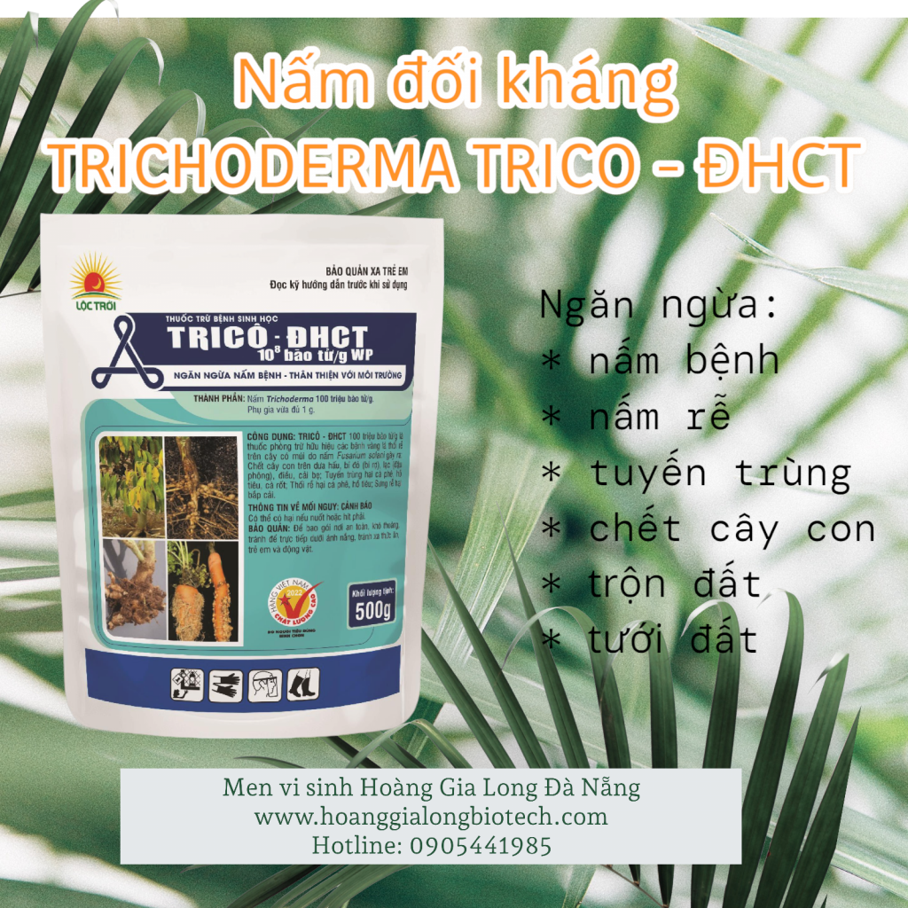 Trichoderma Tricô ĐHCT 500g – Hoàng Gia Long BioTech